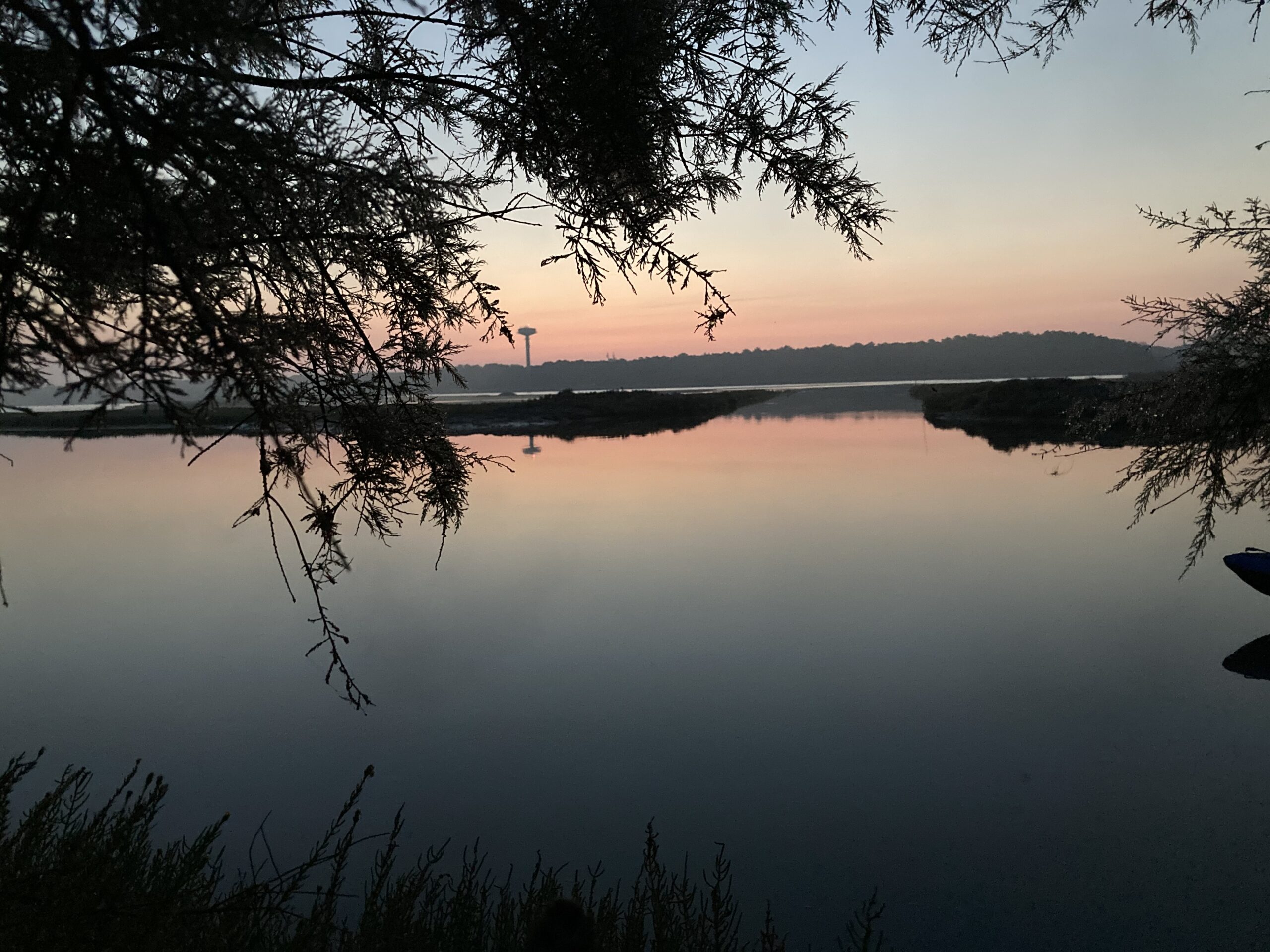 The Spinaroni’s Island - Remember Adrijo